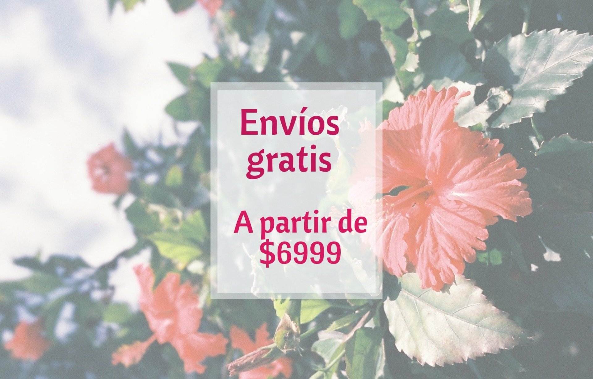 Tienda online de RENATA DESIGNS