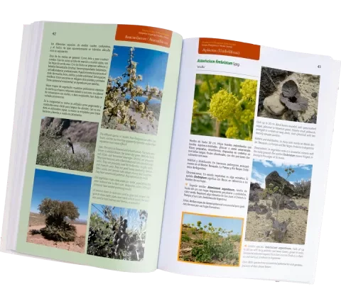 Ferreyra: Plantas de la Patagonia Extra-Andina - CONRADO LIBROS