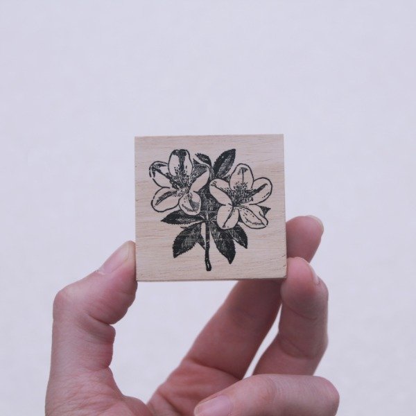 AZALEA - Taller Ramos Generales