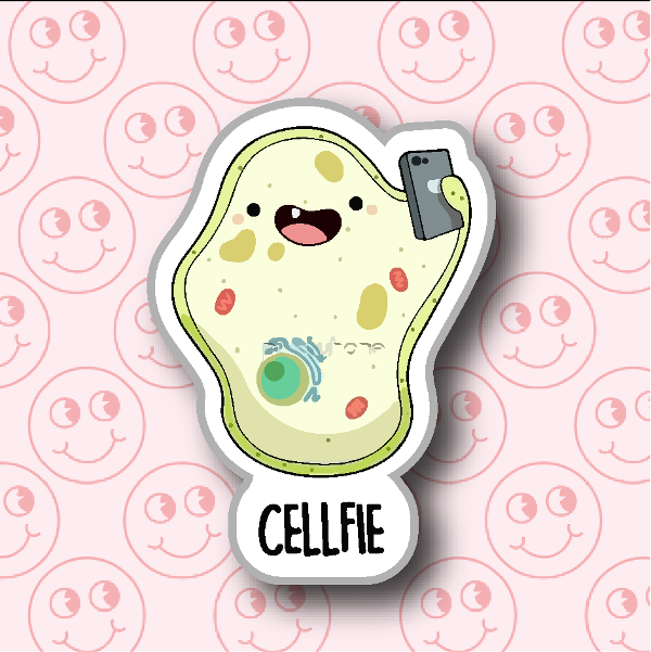 Cellfie - Tienda de Stickers