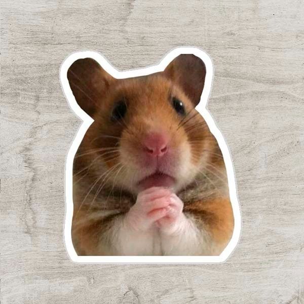 Sticker memes - Ratita xfa - stickersbylali