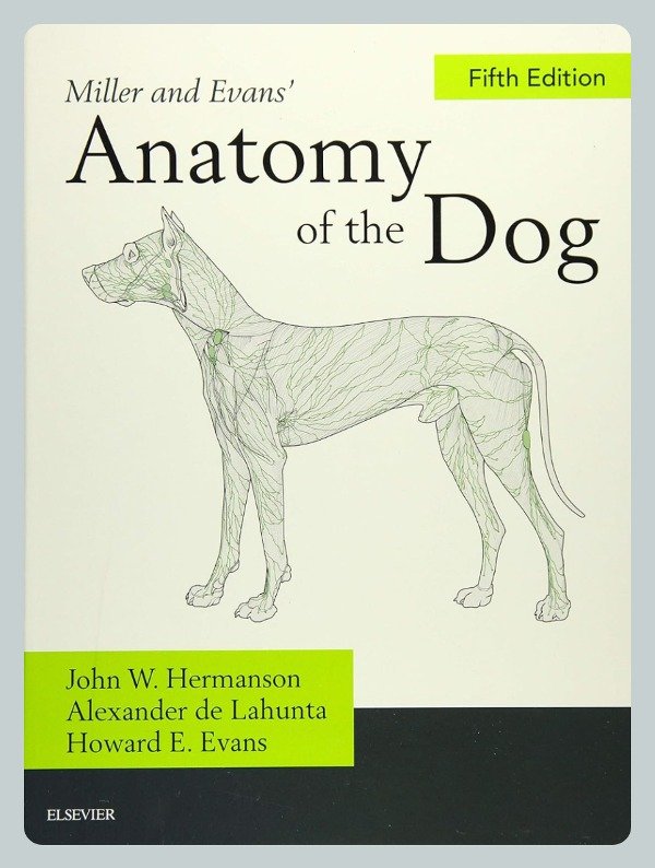 Miller y Evans: Anatomy of the Dog, 5th - CONRADO LIBROS