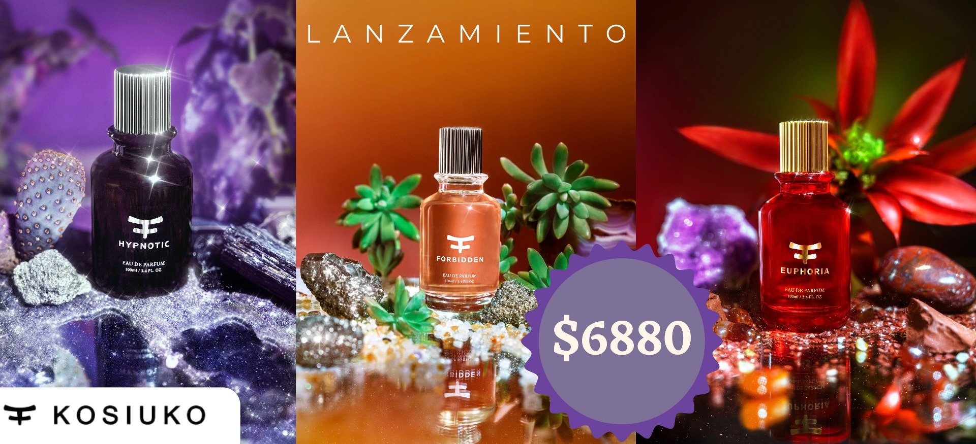 Tienda online de Distribuidora Ion