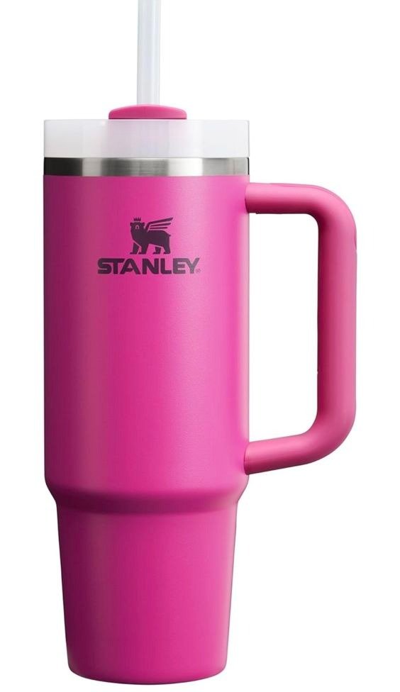 Vaso Stanley the Quencher - Promoción Solo por Hoy! - Eleva argentina