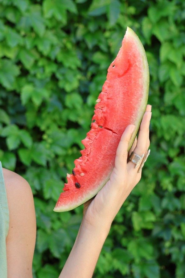 Anillos Petronas - Nudo