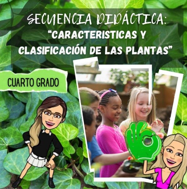SECUENCIA DIDÁCTICA CARACTERÍSTICAS Y CLASIFICACIÓN DE LAS PLANTAS ...