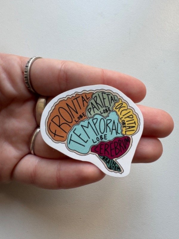 Sticker cerebro nombres - Aeras