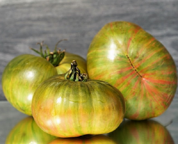 SEMILLAS DE TOMATE ANANAS ZEBRA - SEMILLA MADRE