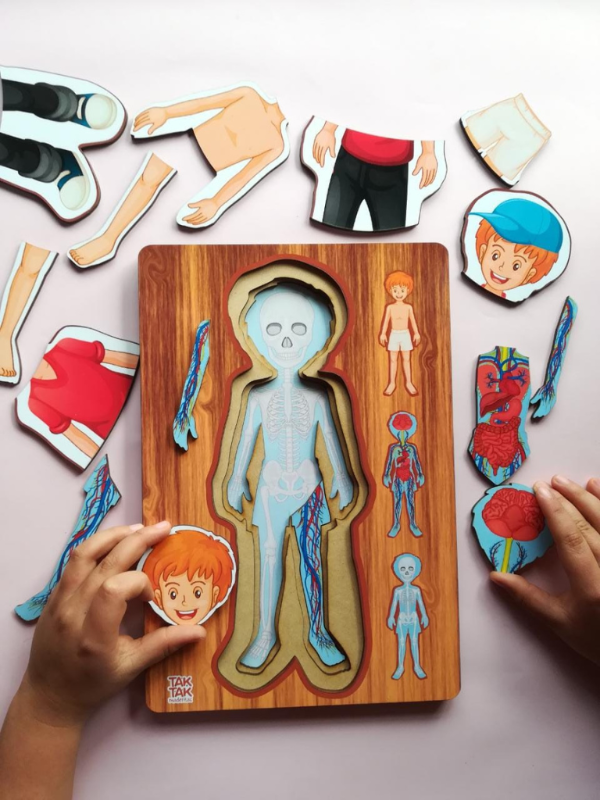 CUERPO HUMANO EN 4 CAPAS - LIBRA
