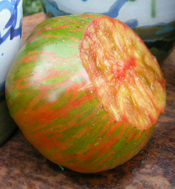 SEMILLAS DE TOMATE ANANAS ZEBRA - SEMILLA MADRE