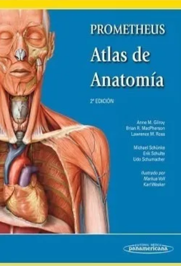 Anatomía - Librería Astrocito