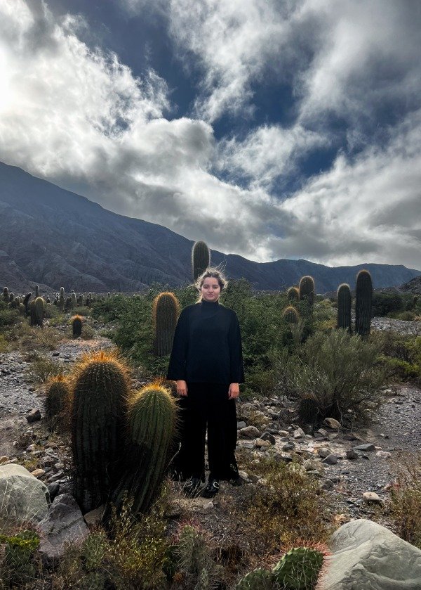 Tienda online de puna estudio