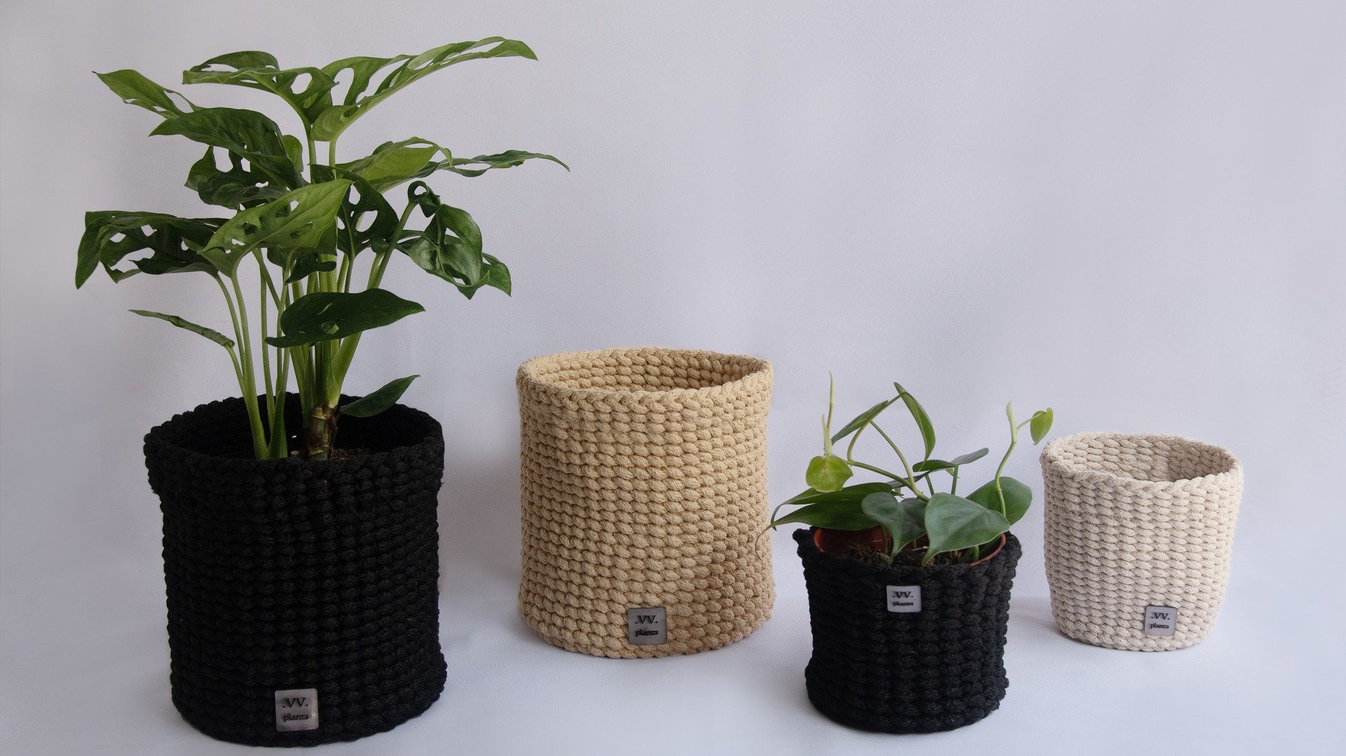 Tienda online de VV plants