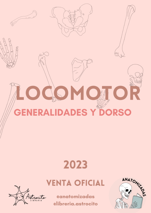 INTRODUCTORIO - Anatomizadas