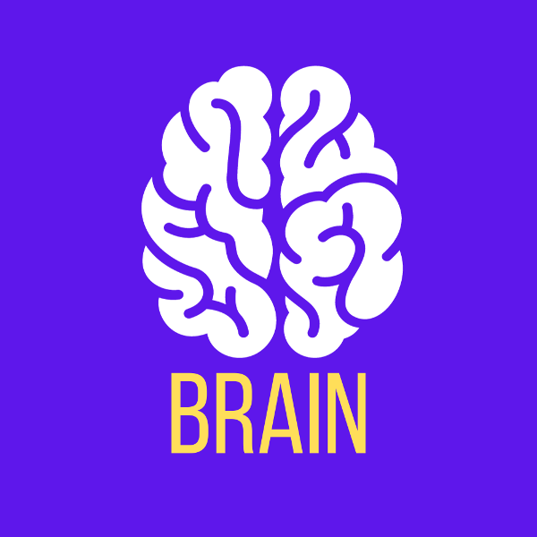 Tienda online de BRAIN Store