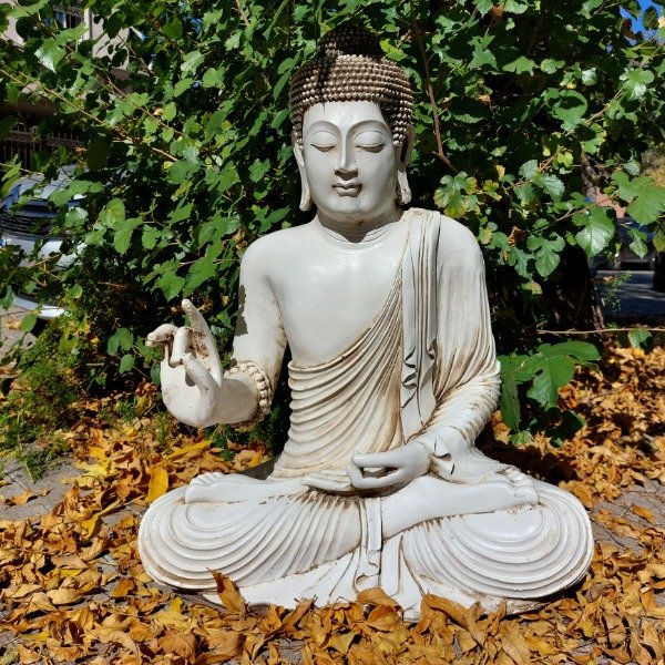 Tienda online de AiresZen