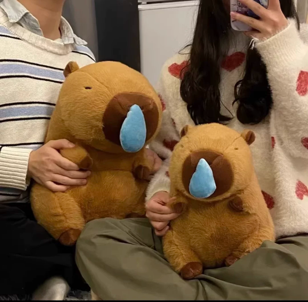 Tienda online de Celestia Store