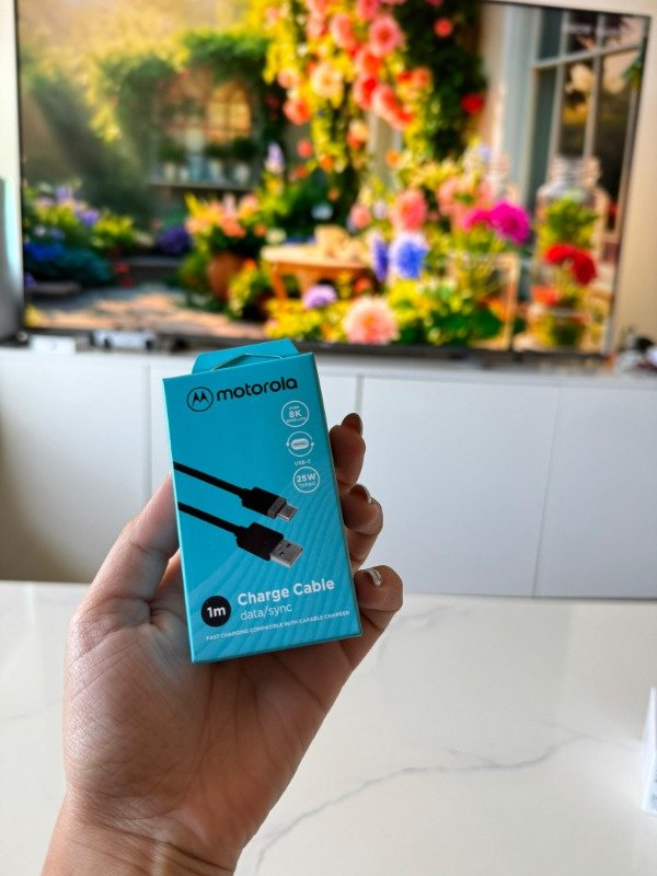 CABLE USB A TIPO C - iPhonePatagoniaAcc