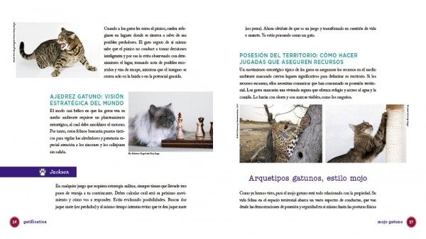 Gatification: Cómo Diseñar la Mejor Casa para tu Gato y para Ti ...