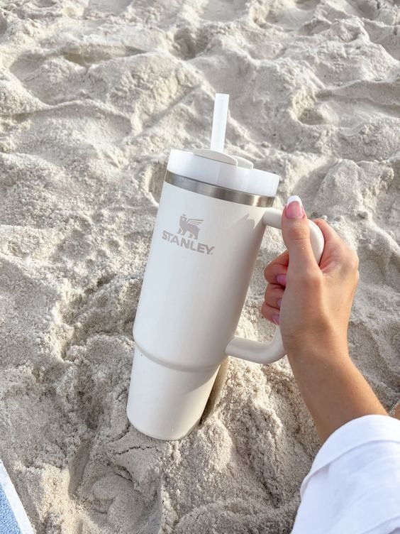 Vaso Stanley the Quencher - Promoción Solo por Hoy! - Eleva argentina