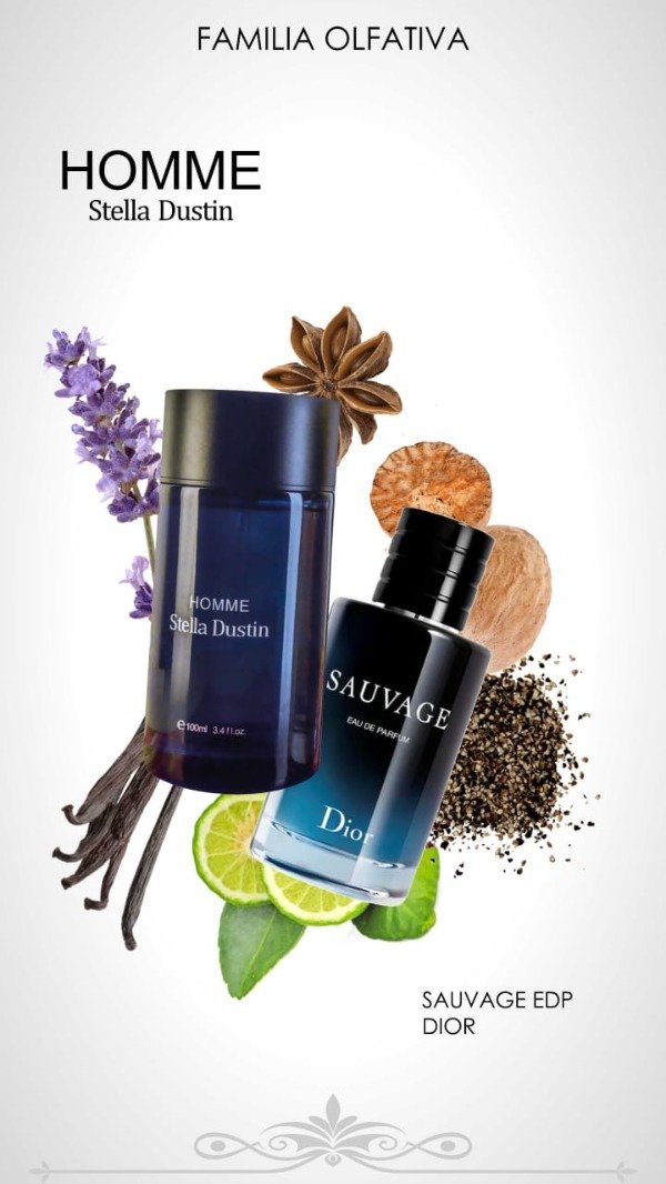 Stella Dustin Homme Eau de Parfum 100ml - Eco De Piel