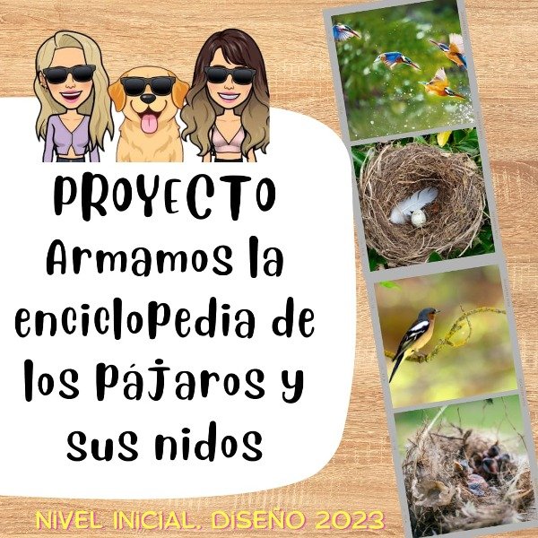Proyecto: Armado de la enciclopedia de los pájaros y sus nidos ...