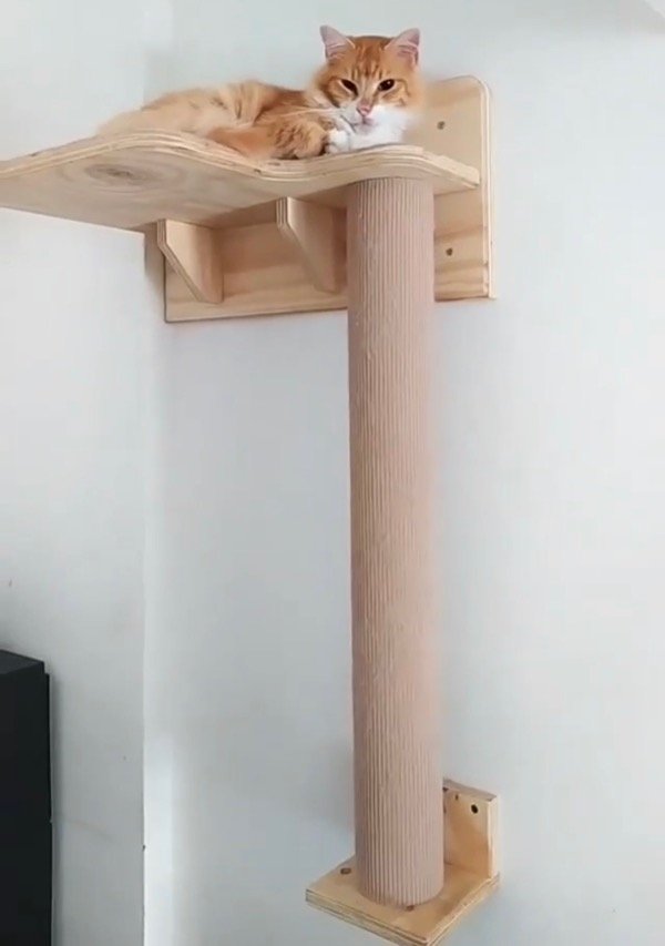 Tienda online de 4 Patas Diseños