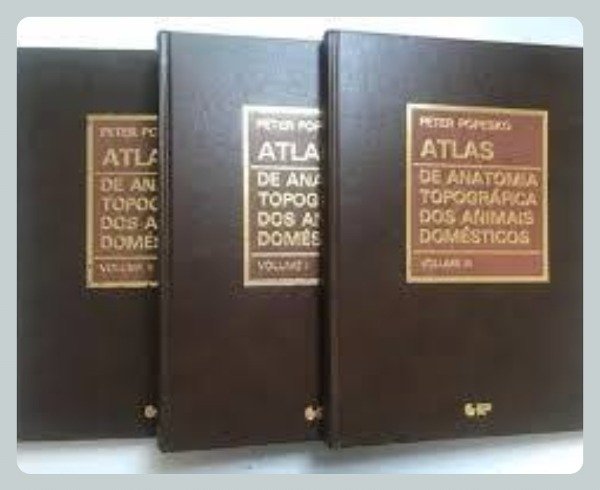Popesko: Atlas de Anatomía Topográfica de los Animales Domésticos - 3 ...