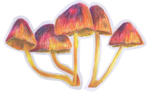 Sticker hongo - Solanin Store