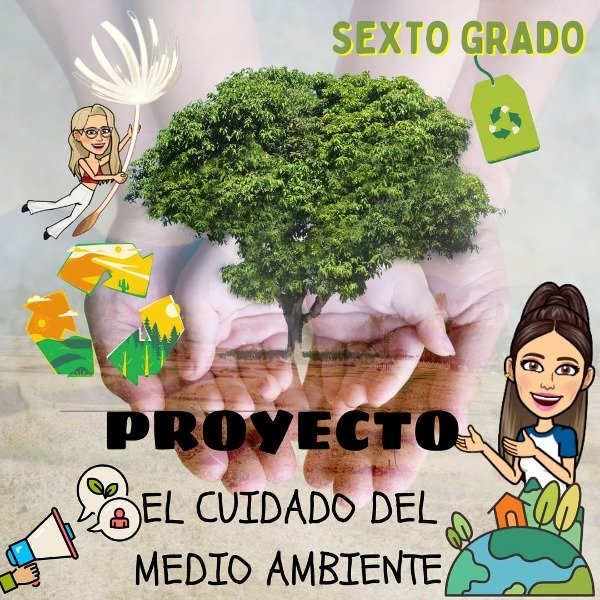 PROYECTO EL CUIDADO DEL MEDIO AMBIENTE - Andamos Creando