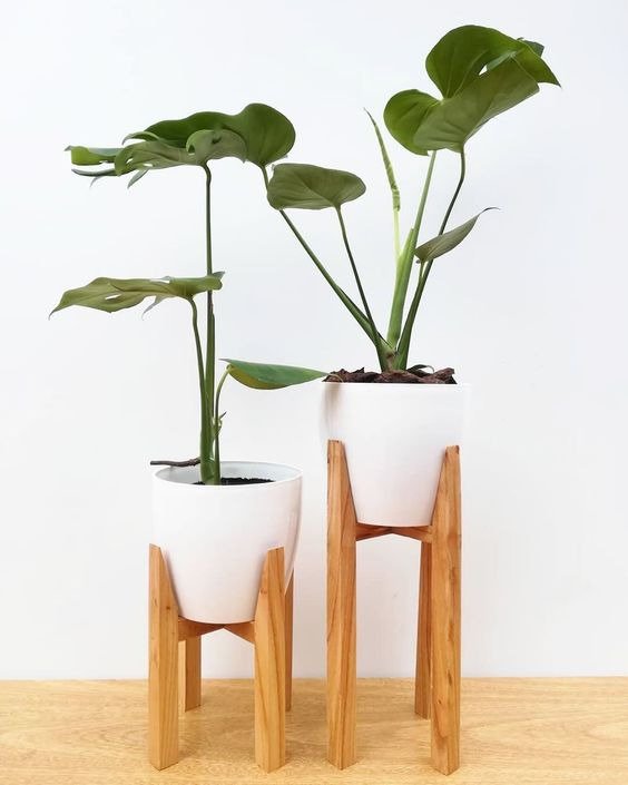 Porta Maceta Nórdico - Pino Paraná - 50/22 - Espacios Decorados