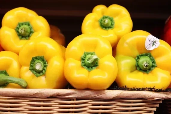 SEMILLAS DE AJI DULCE GOLDEN ANNIVERSARY MORRON - SEMILLA MADRE