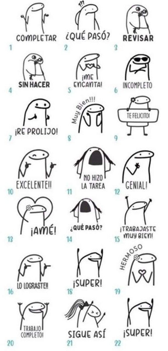 KIT DOCENTE FLORK - Sellos PROFESIONALES