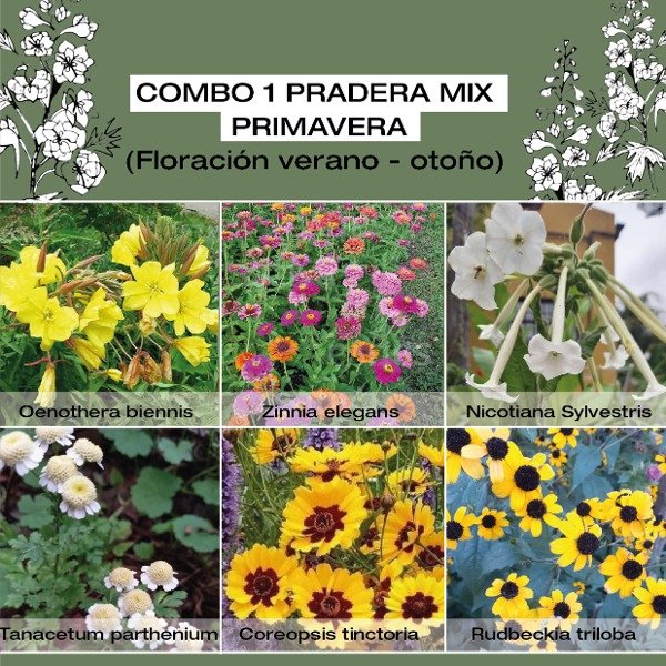 Tienda online de jardinmutante