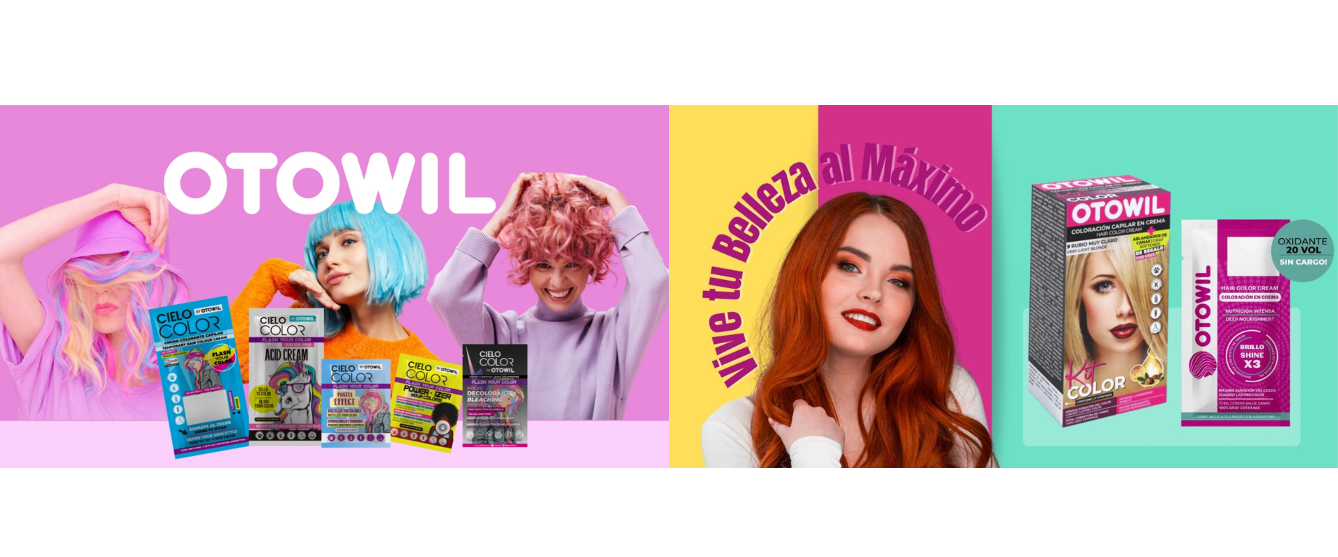 Tienda online de Distribuidora Ion