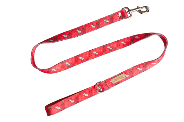 Correa Perritos - Narava