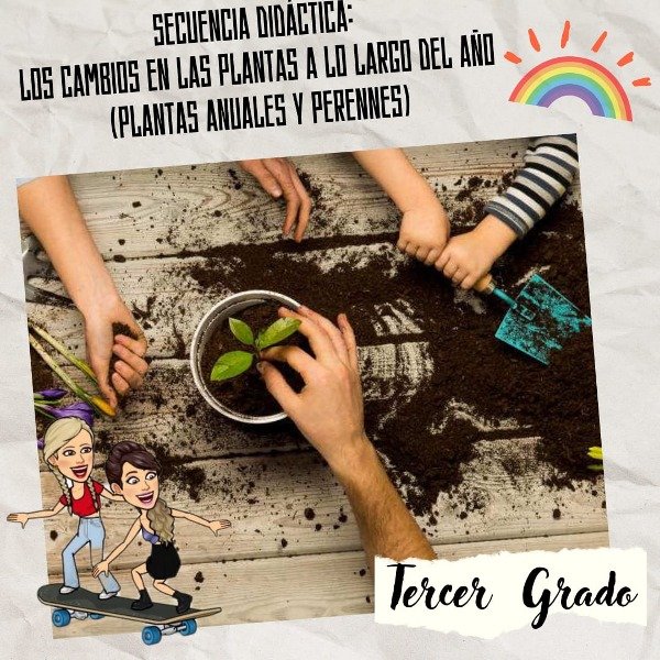 SECUENCIA DIDÁCTICA LOS CAMBIOS EN LAS PLANTAS A LO LARGO DEL AÑO ...