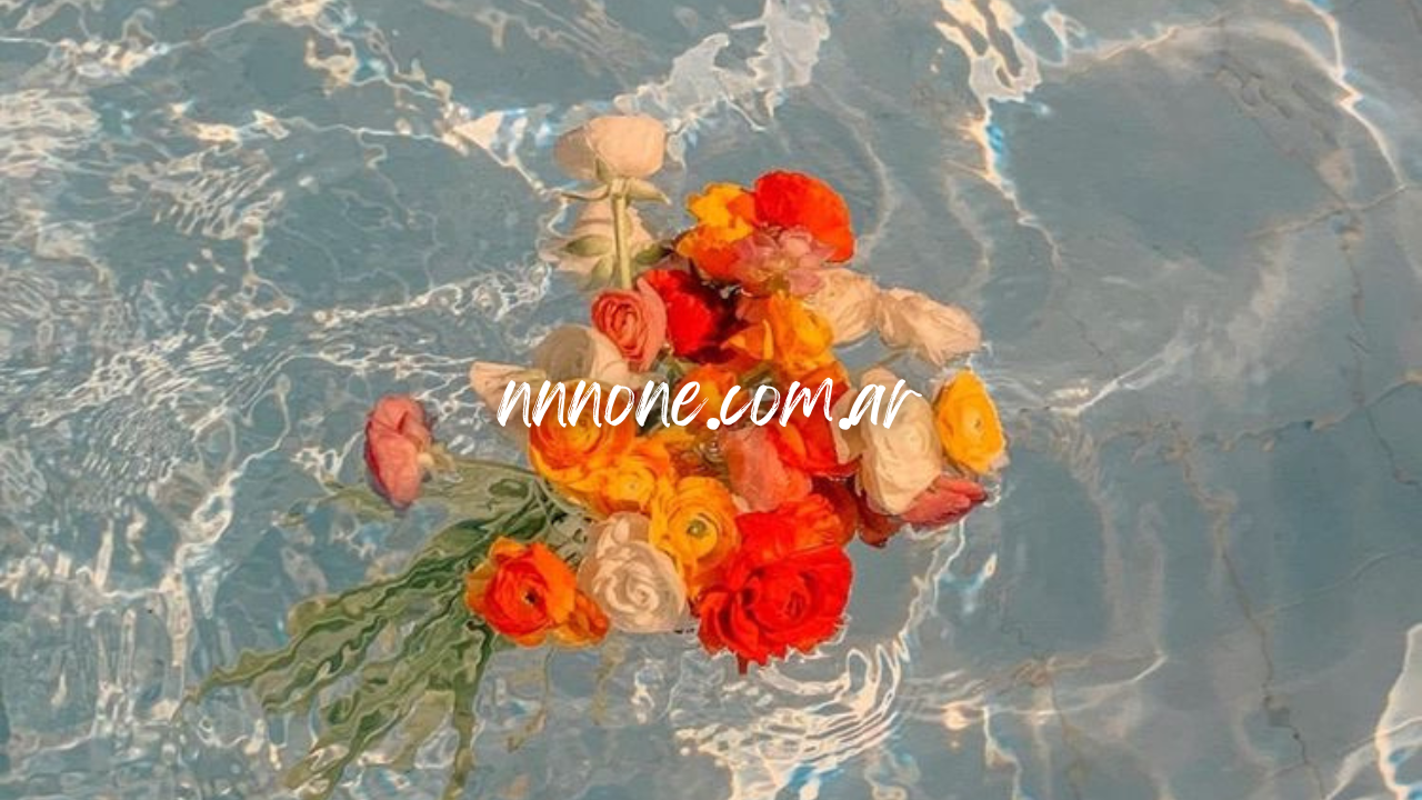 Tienda online de NNNONE