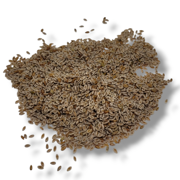 PSYLLIUM /ZARAGATONA - FRUTOS DE LA VIDA
