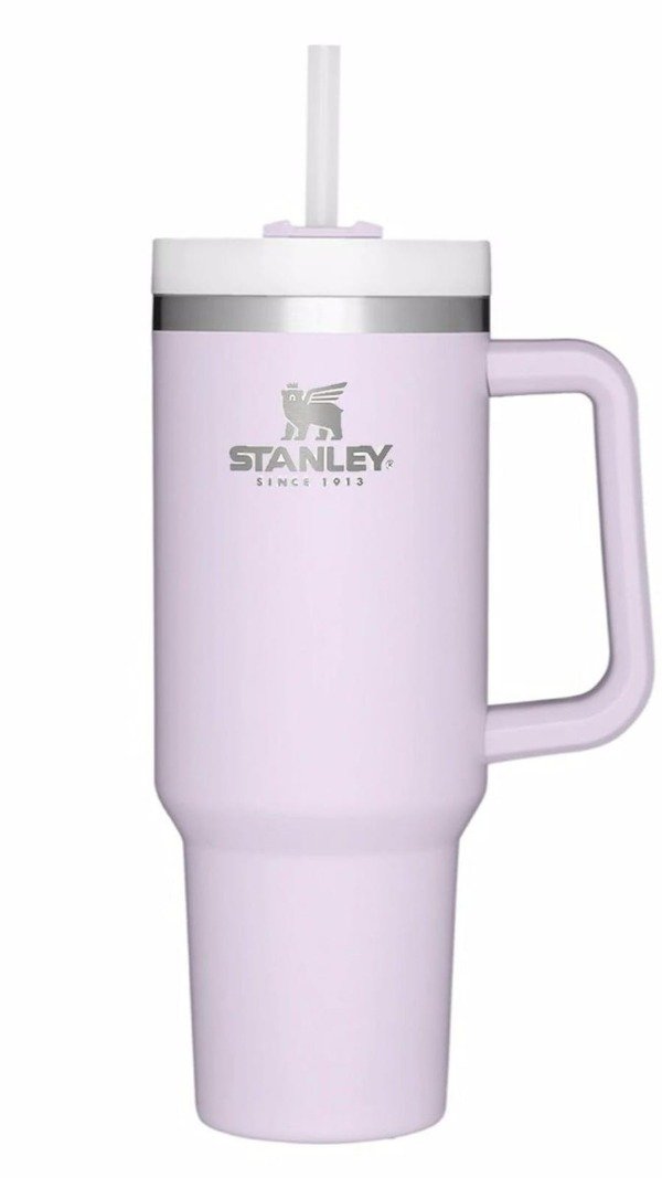 Vaso Stanley the Quencher - Promoción Solo por Hoy! - Eleva argentina