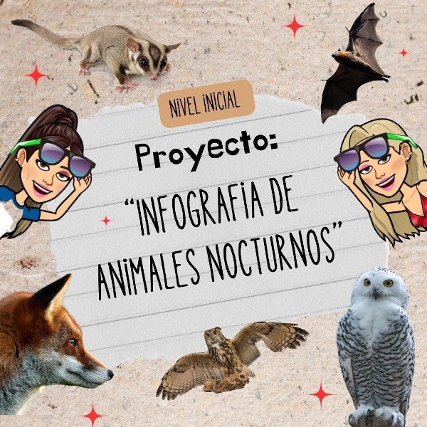 PROYECTO. INFOGRAFÍA DE ANIMALES NOCTURNOS. NIVEL INICIAL - Andamos Creando
