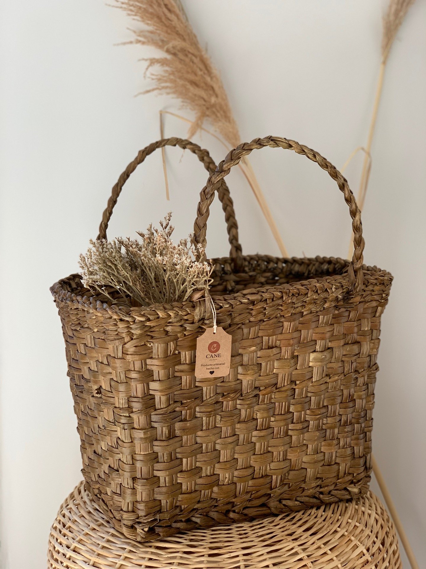 Tienda online de Cane deco