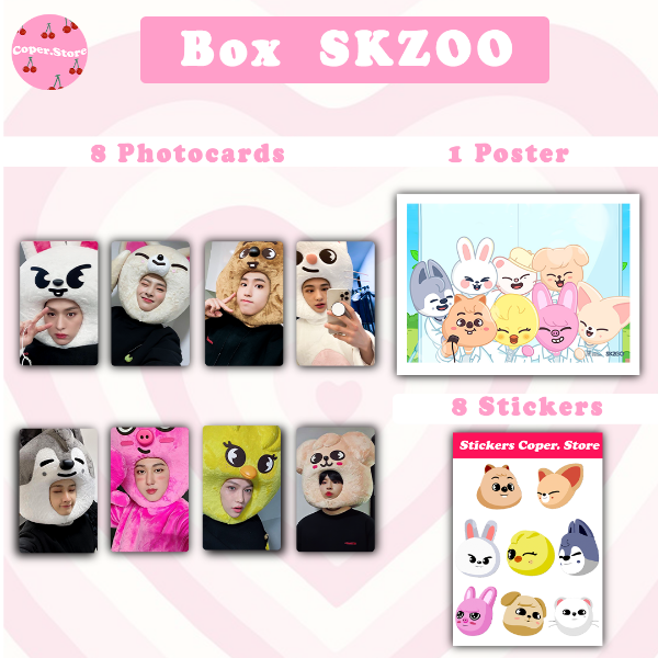 Box SKZOO - Coper Store