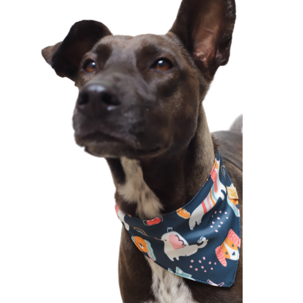 Tienda online de Narava