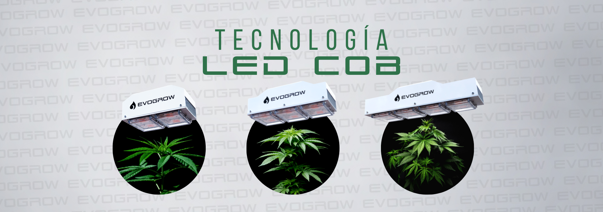 Tienda online de Evo Grow Arg