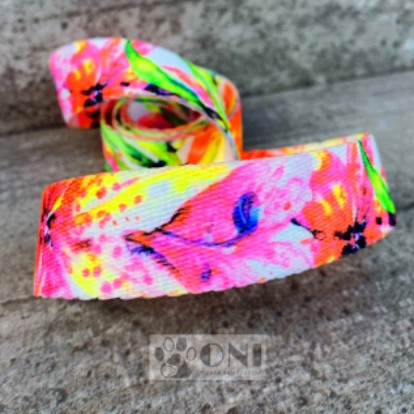 Productos - Oni Tienda de Mascotas