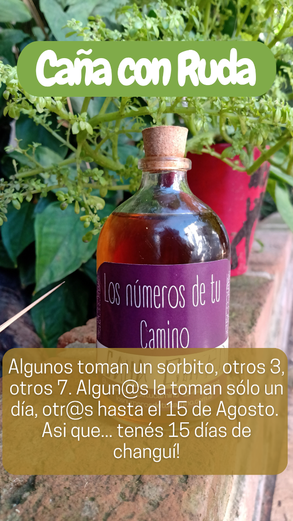 Productos - Los números de tu Camino