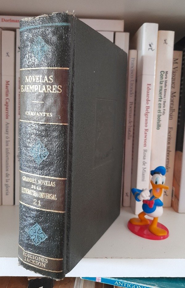 Novelas Ejemplares - Miguel De Cervantes - Jackson Literatura #21 ...