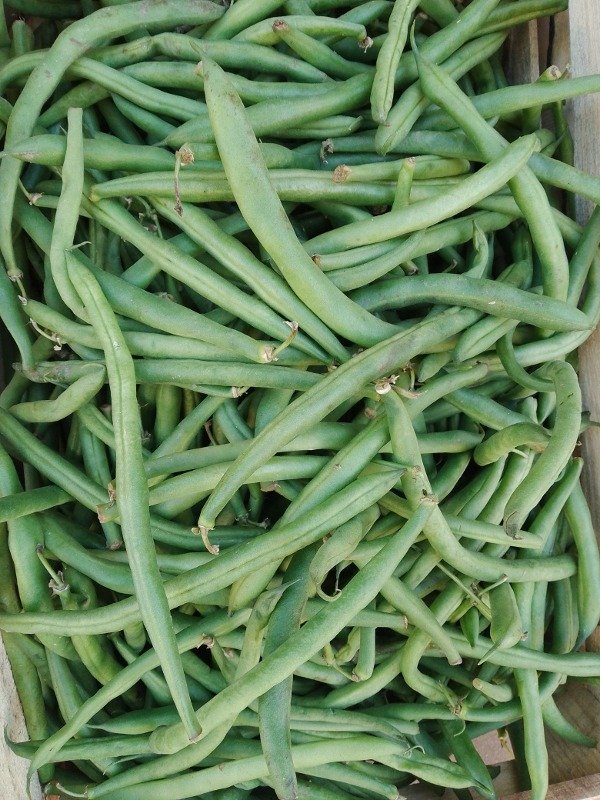 Tienda online de La Casita Organica