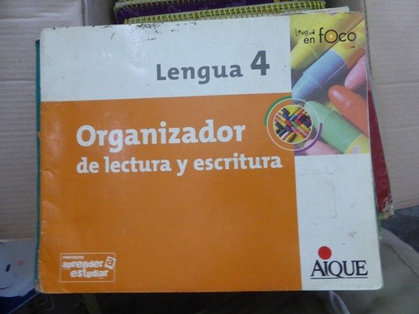 Lengua 4 Organizador De Lectura Y Escritura - elalmacendelibrosusados